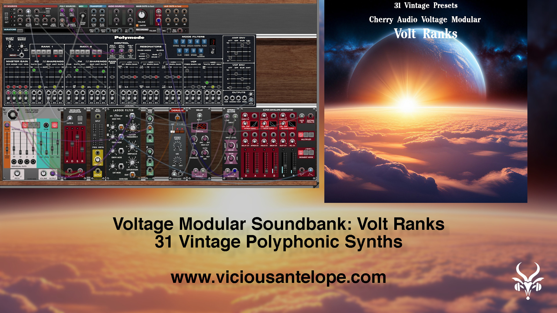 Volt Ranks - Voltage Modular Presets | Vicious Antelope