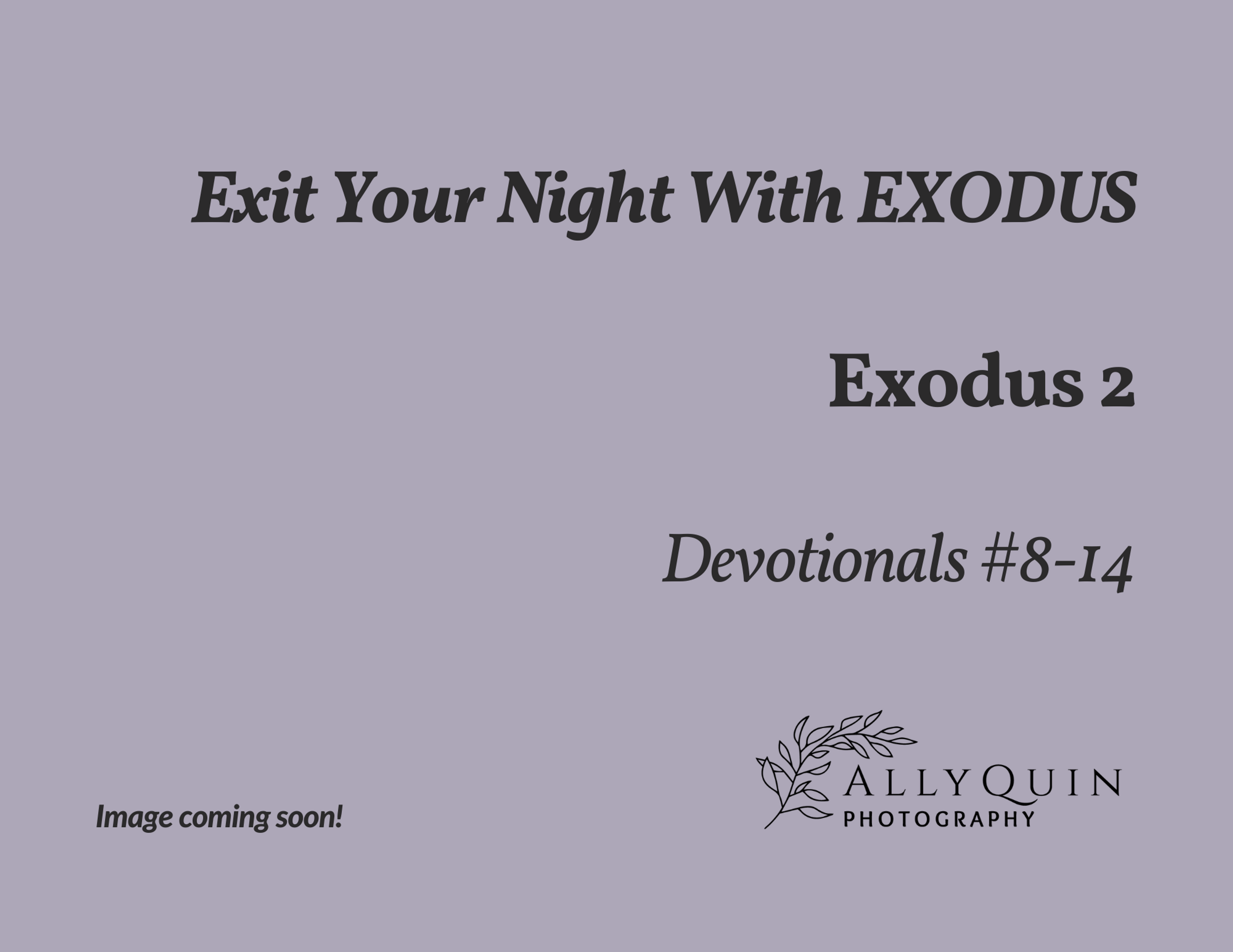 Birth of the Deliverer — Exodus Chapter 2