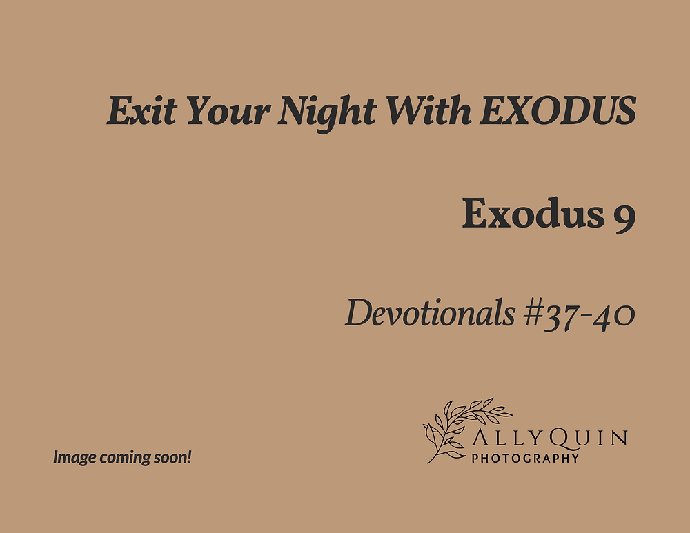 Harder To Counterfeit Exodus Chapter 9 harder-to-counterfeit-exodus-chapter-9
