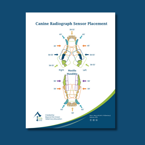 Canine Sensor Placement Guide Digital Download | Beyond the Crown