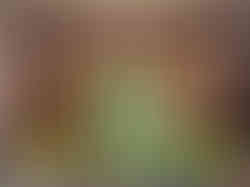 Hari Raya Backdrops, Arches & Props Decor in Malaysia | Backdrop KL