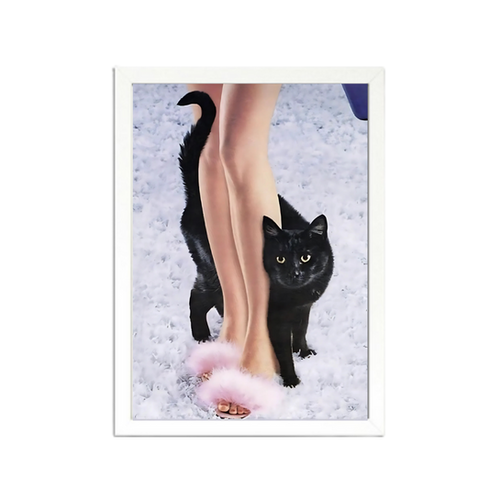 Meow Poster | Avo Studio