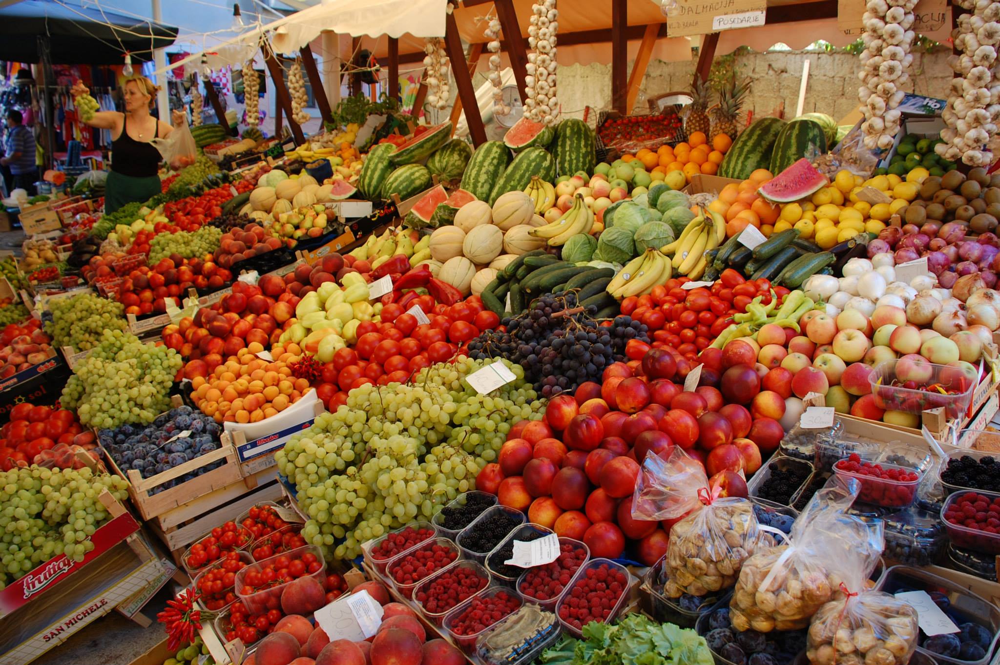 cavtat and the region