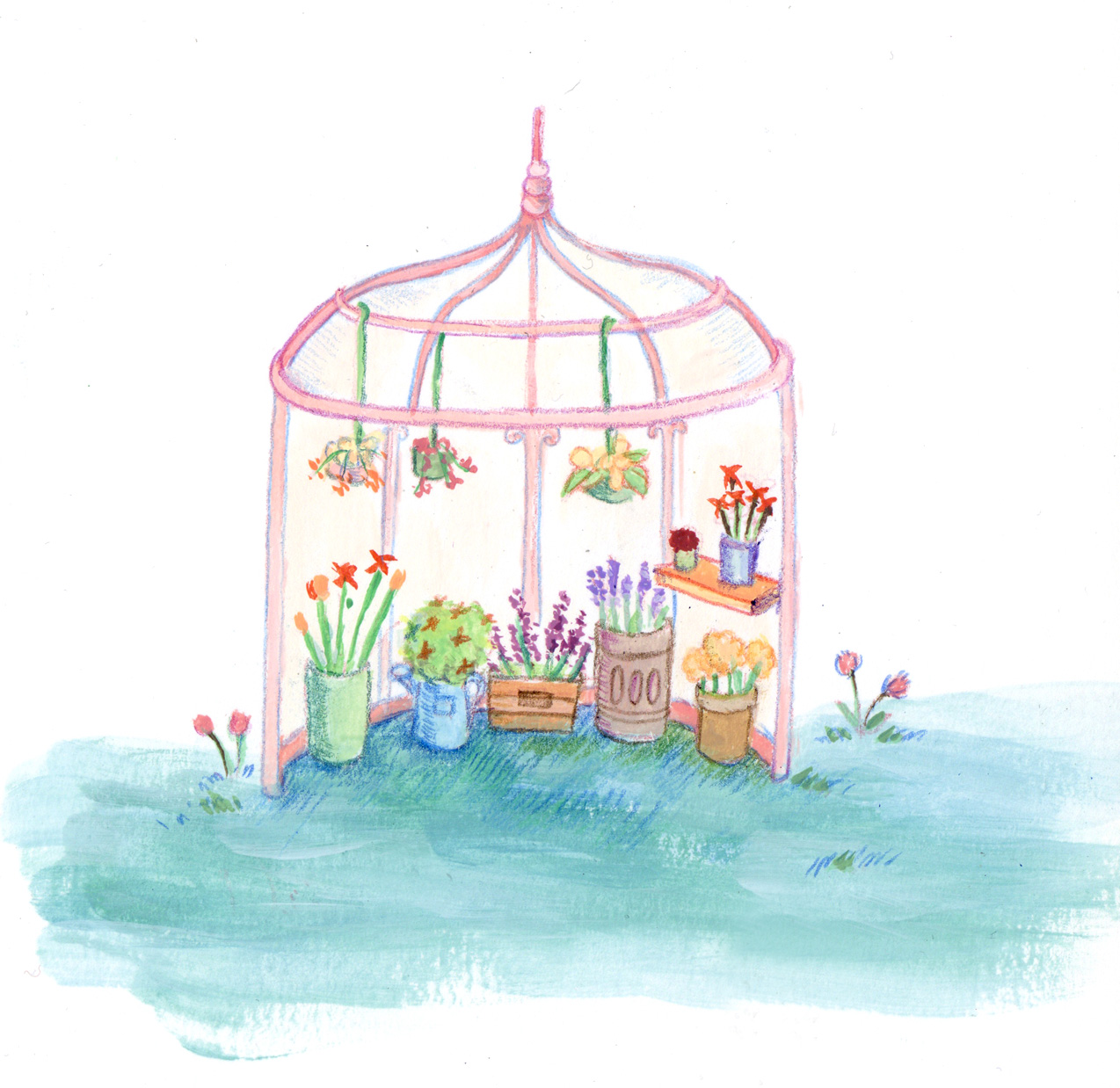Illustratrice I YaYing WANG