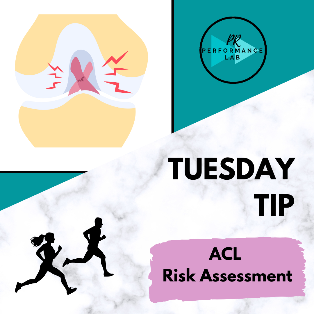 ACL Risk Assessment & Prevention Warm-Up