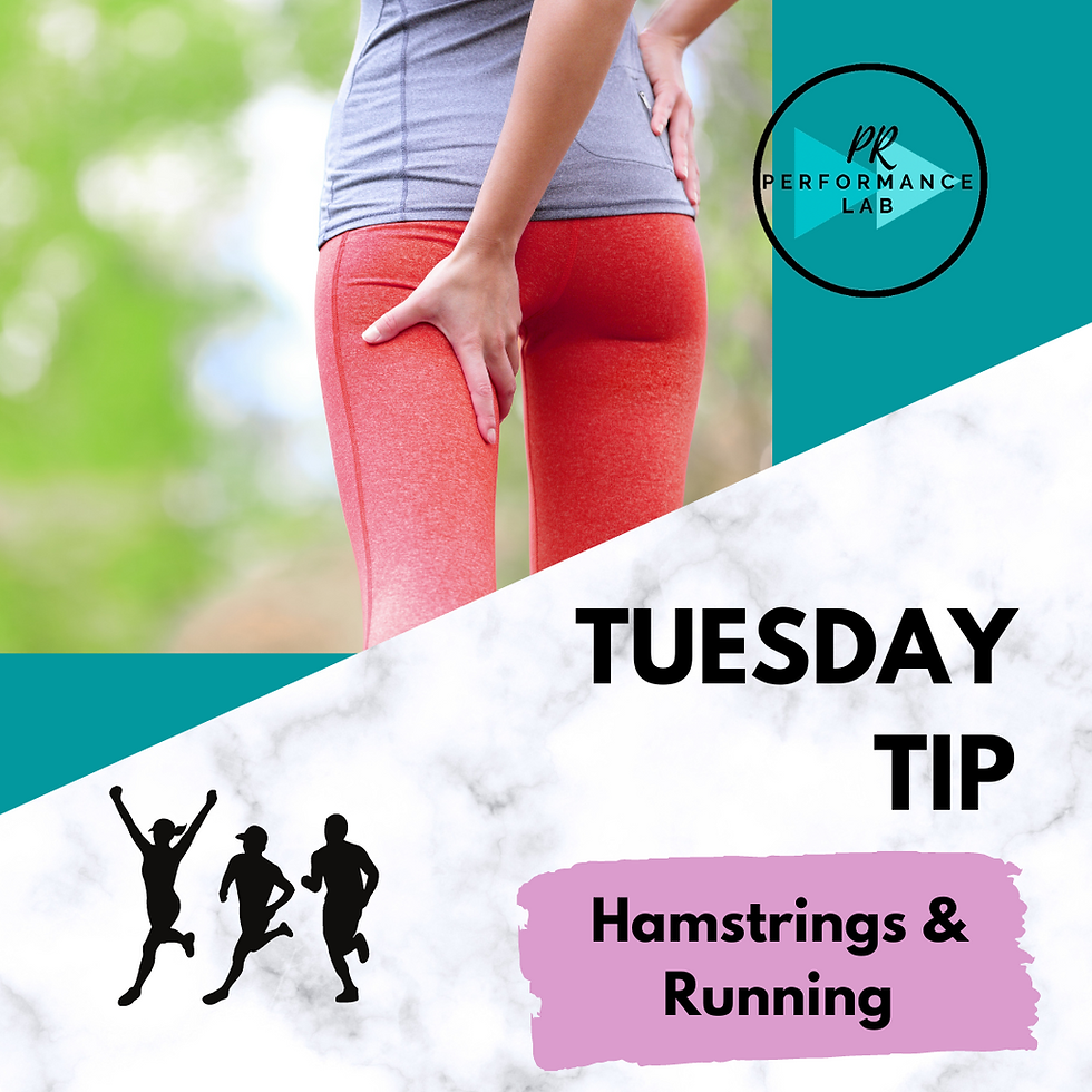 Understanding The Crucial Role of the Hamstrings in Running