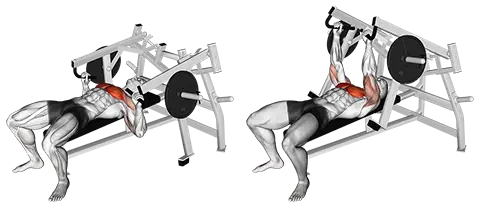 👊💪Supino Sentado na Máquina: Como Fazer, Benefícios e Variações