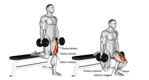 Agachamento Búlgaro (Afundo Búlgaro)