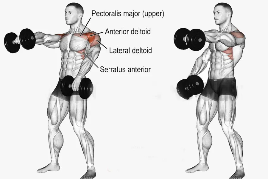 Front Raises: Your Comprehensive Guide