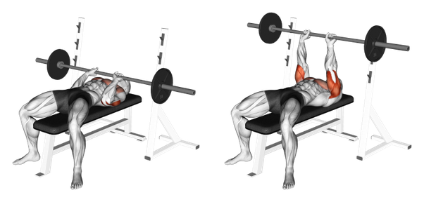 Tricep Workouts for Sculpted Arms: Get Ready to Tone!