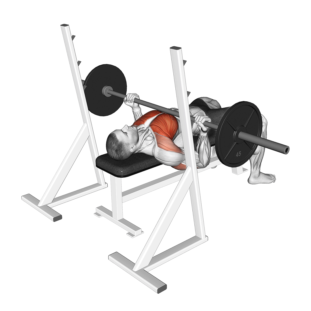 Bench Press: Unleash Your Inner Strengtht