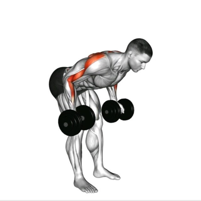 Bent‑Over Row: How to do it, Muscles Worked and Benefits [2025]