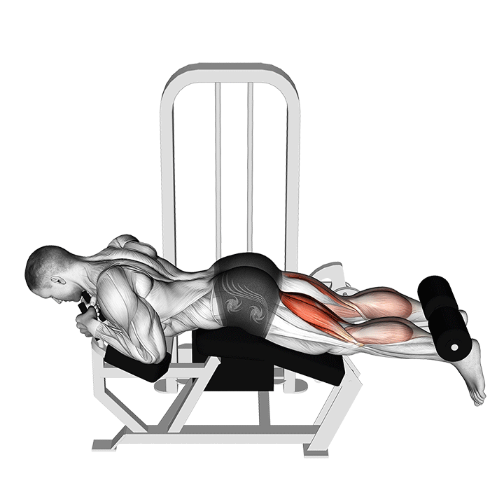 Seated Leg Curl: Setup, Form, Benefits, Variations, Mistakes