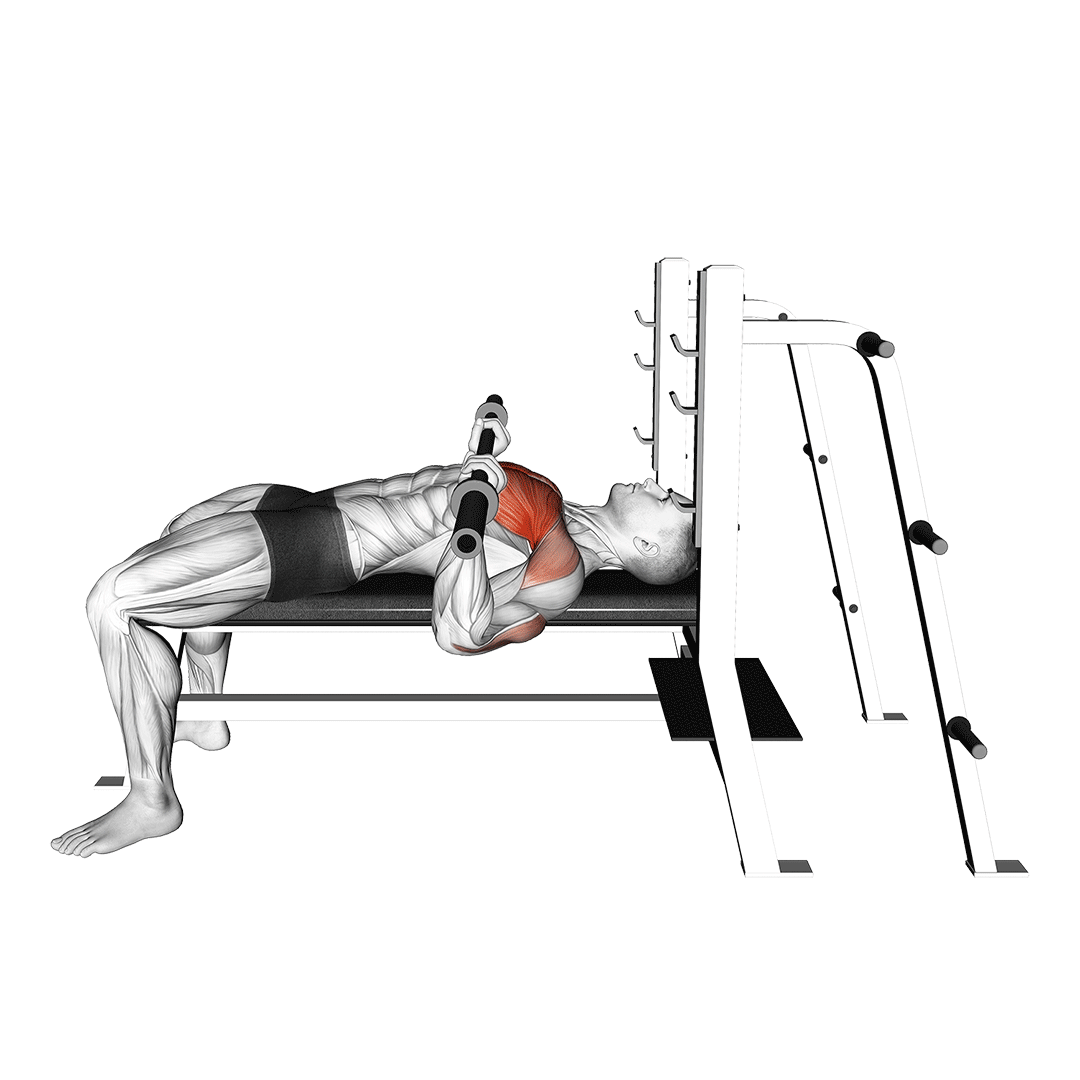 Bench Press: Unleash Your Inner Strengtht