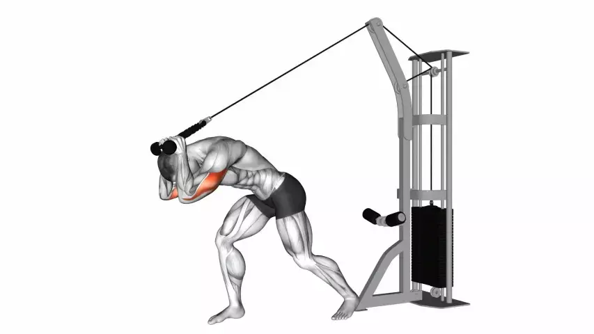 Triceps Pulley: Como Fazer, Músculos Trabalhados e Para que Serve