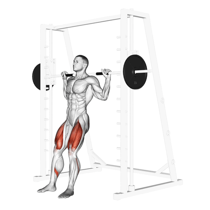 Barbell Squats: Strength and Stability