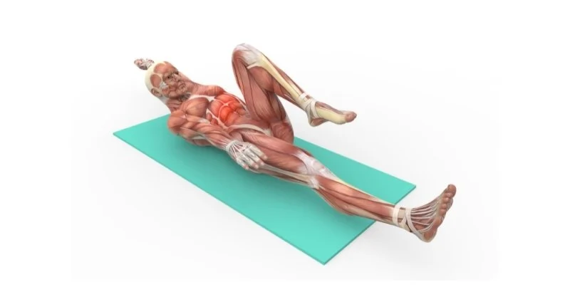 Dead Bug Exercise: A Comprehensive Guide with Variations and Benefits