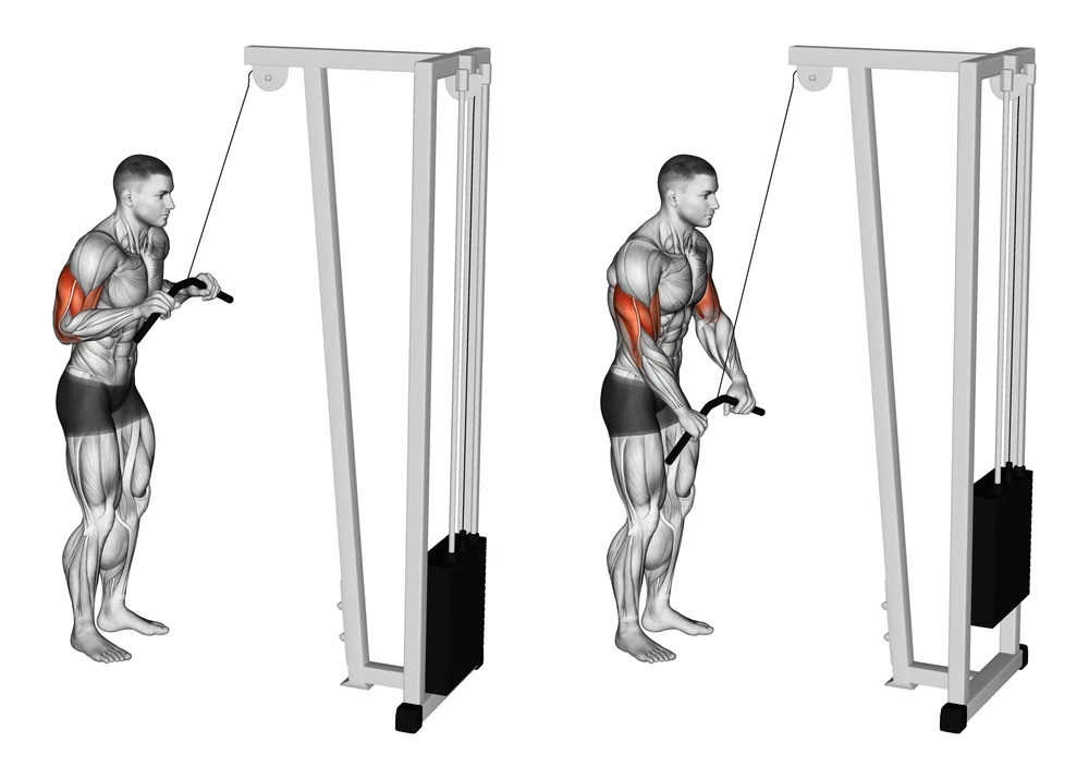 Mastering the Push-Down: A Comprehensive Guide for Peak Arm Strength