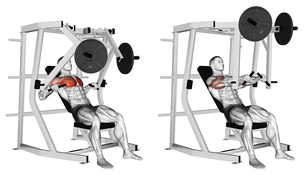 Supino Vertical na Máquina: Para um Treino de Peito Poderoso