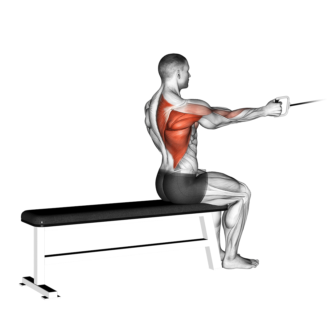 Seated Low Row: Form, Muscles Worked, Handle Variations & Programming