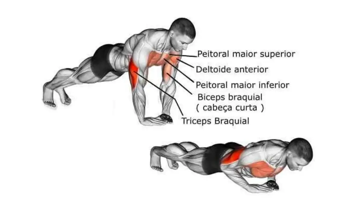 Treino De Tríceps Completo Dicas Para Braços Definidos E Fortes