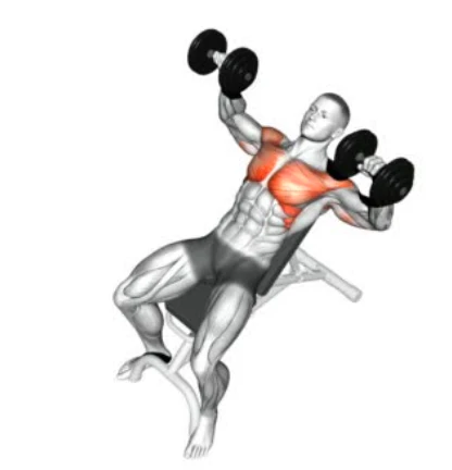 Incline Dumbbell Press: The Ultimate Guide