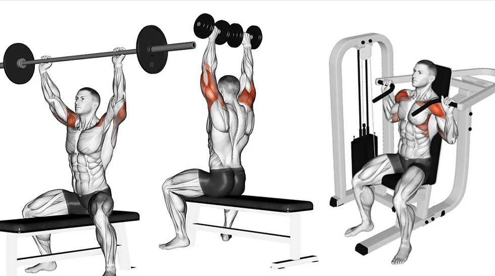 Desenvolvimento com Halteres: O Guia Completo