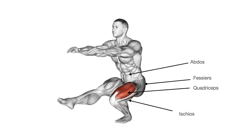Agachamento Unilateral: O Guia Definitivo para Força e Equilíbrio