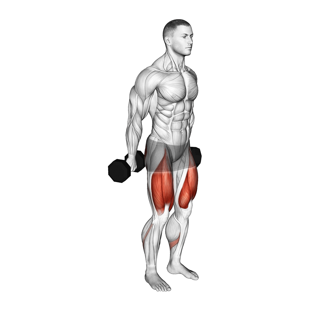 Barbell Hack Squat: Perfect Your Form with This Ultimate Exercise Guide