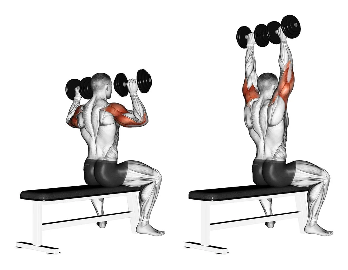 Treino De Ombro Completo Como Ter Deltoides Fortes E Bem Desenvolvidos