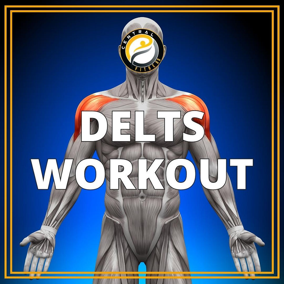 Delts Workout: Sculpting Strong and Shapely Shoulders