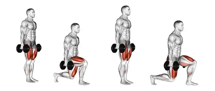 Treino com Halteres para Fazer em Casa: Transformando sua Rotina de Fitness
