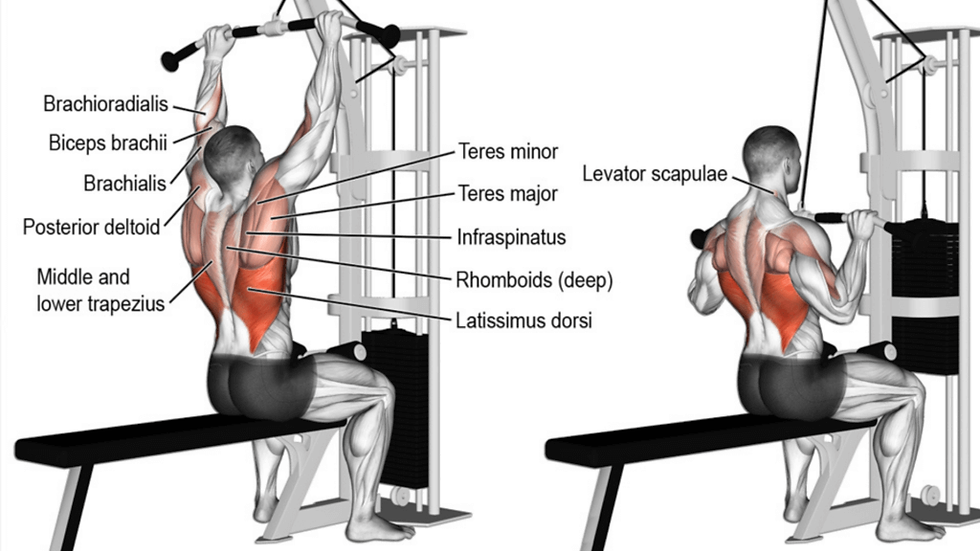 Pulley Frente: 5 Benefícios desse Exercício para um Corpo Forte e Saudável