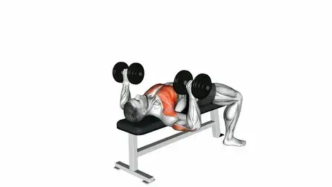 Dumbbell Bench Press for your chest workout exercises