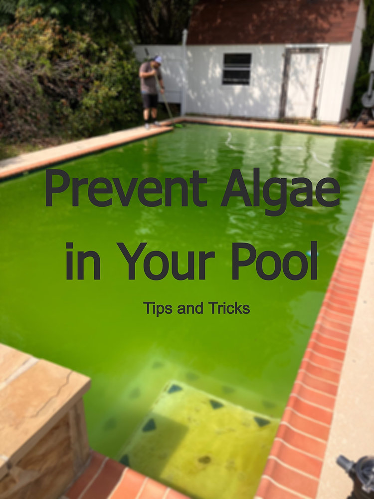How to Prevent Algae in Your Pool: Tips and Tricks