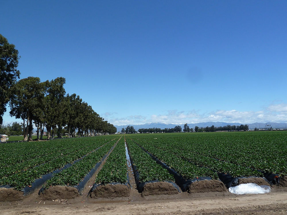 Saturday, April 3, 2021 – Oxnard, California