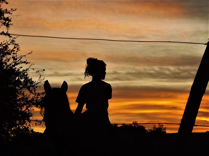 Compartir | Las Bandurrias Paso Centurion