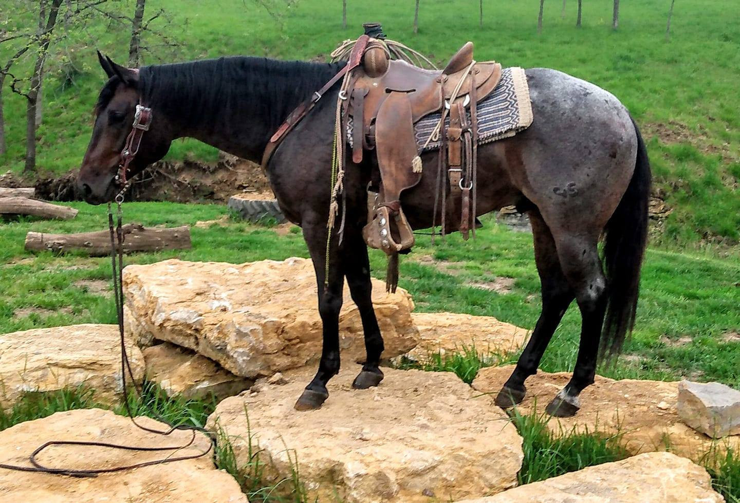 Lazy JS Ranch Performance