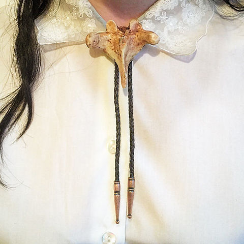 tie shaped bone