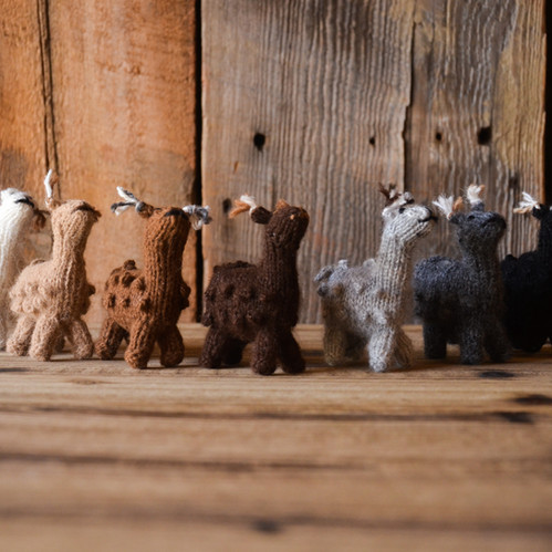 Mini Knitted Alpaca | Alpagas Sutton