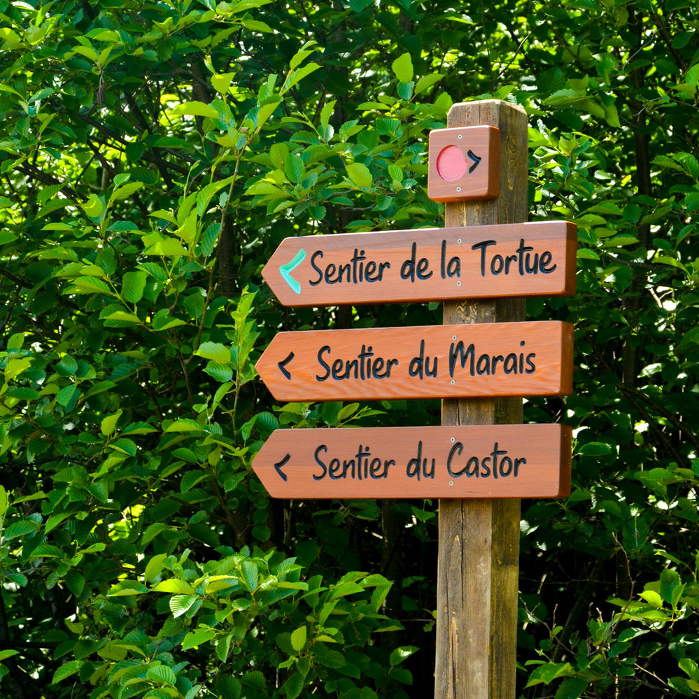 Les nouveaux sentiers sont ouverts!