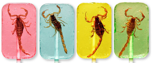 Hotlix Real Scorpion Candy Suckers | Mexifoods