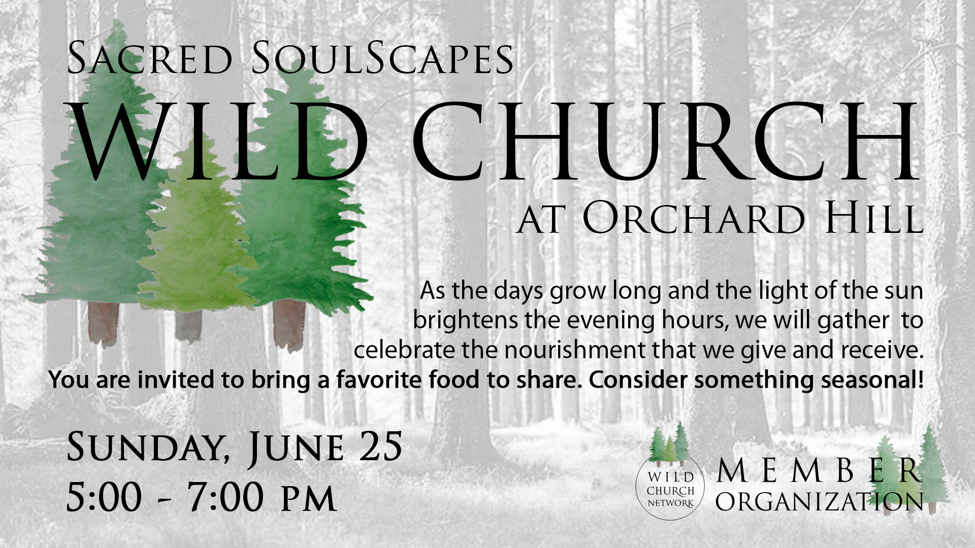 Summer Wild Church | Sacred SoulScapes