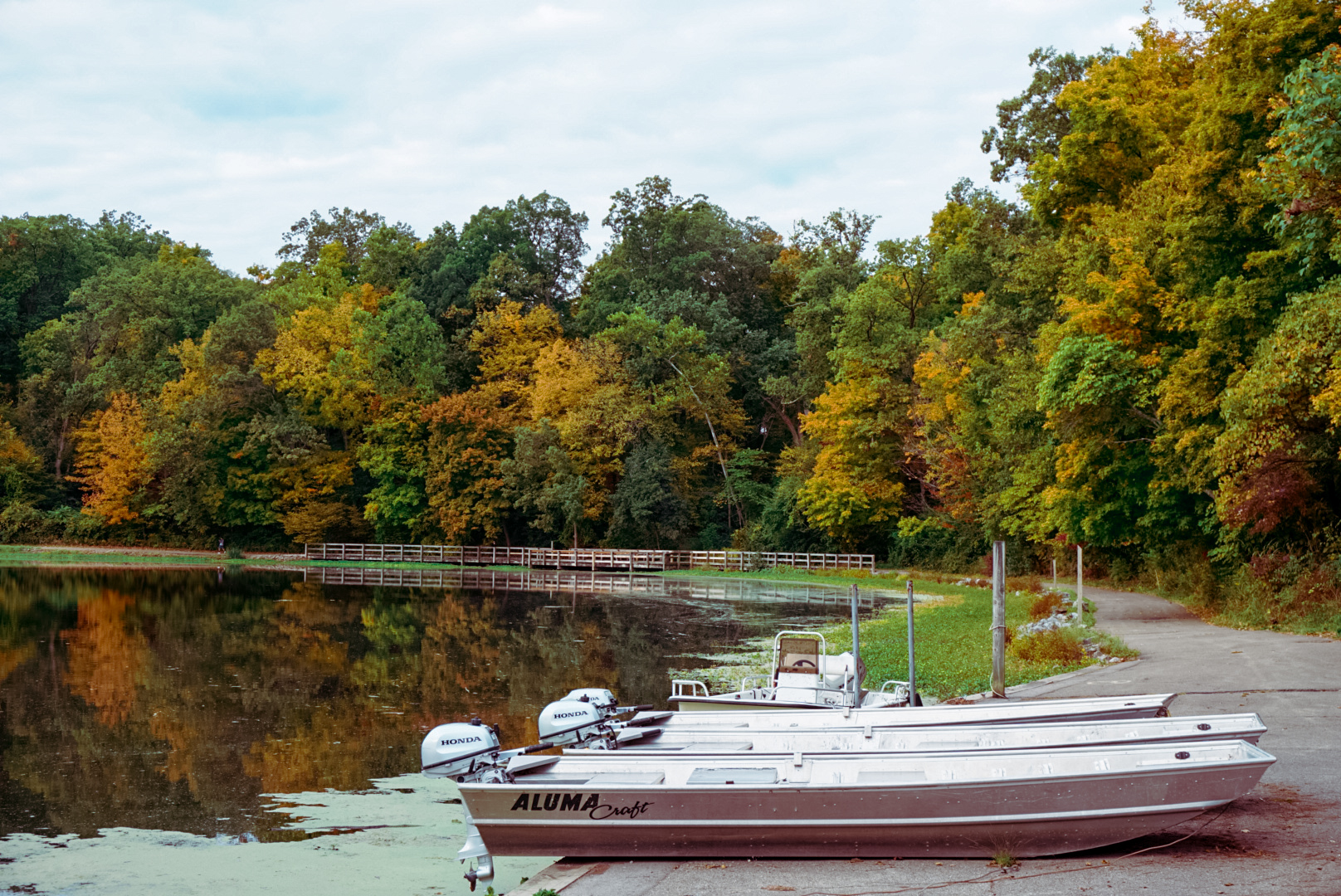 The Best Places to See Fall Foliage in Cincinnati