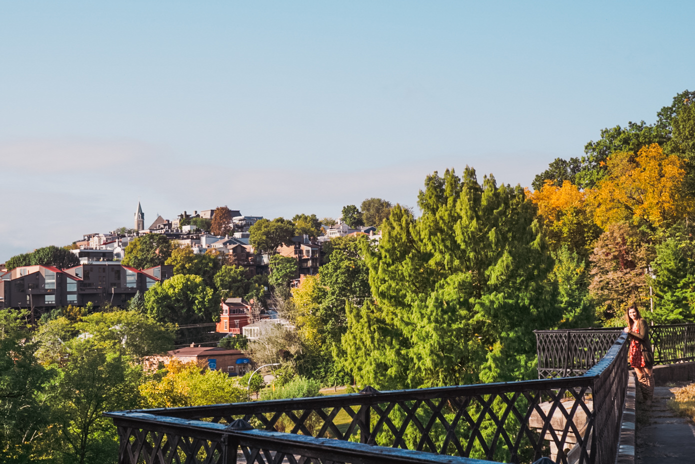 The Best Places to See Fall Foliage in Cincinnati