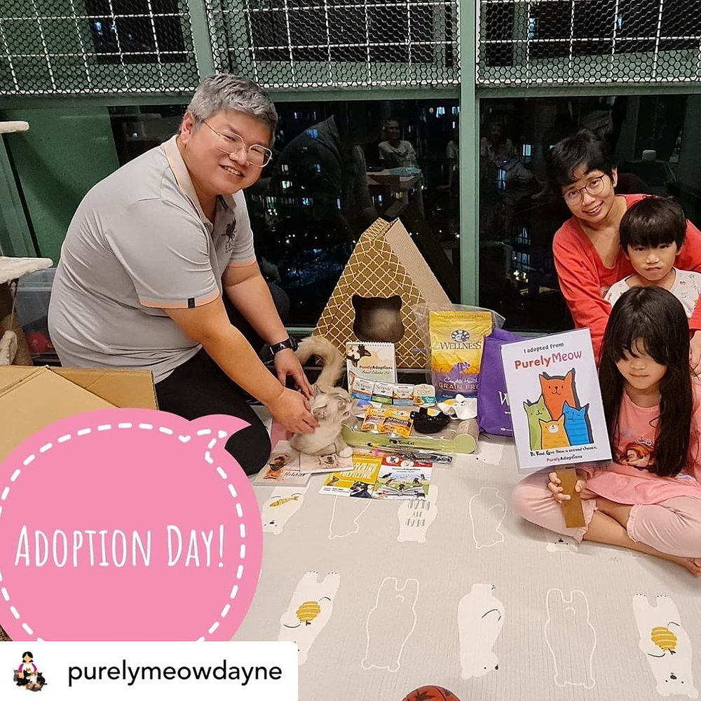 Forever Home for Maya & Neko!