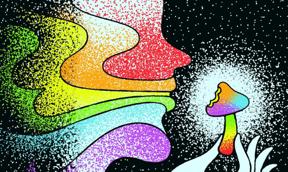 Do I Take My Microdose Every Day?