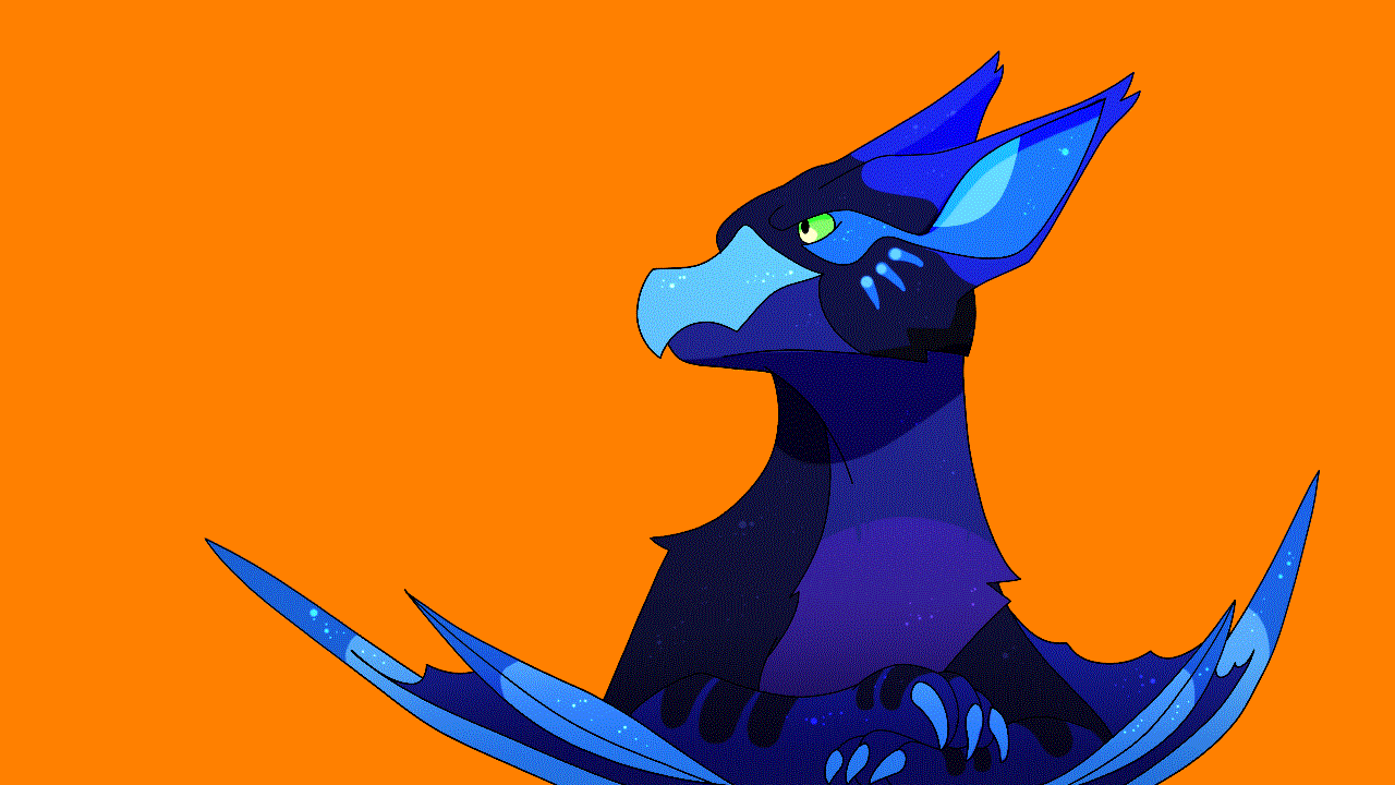 Commissions NND Portfolio