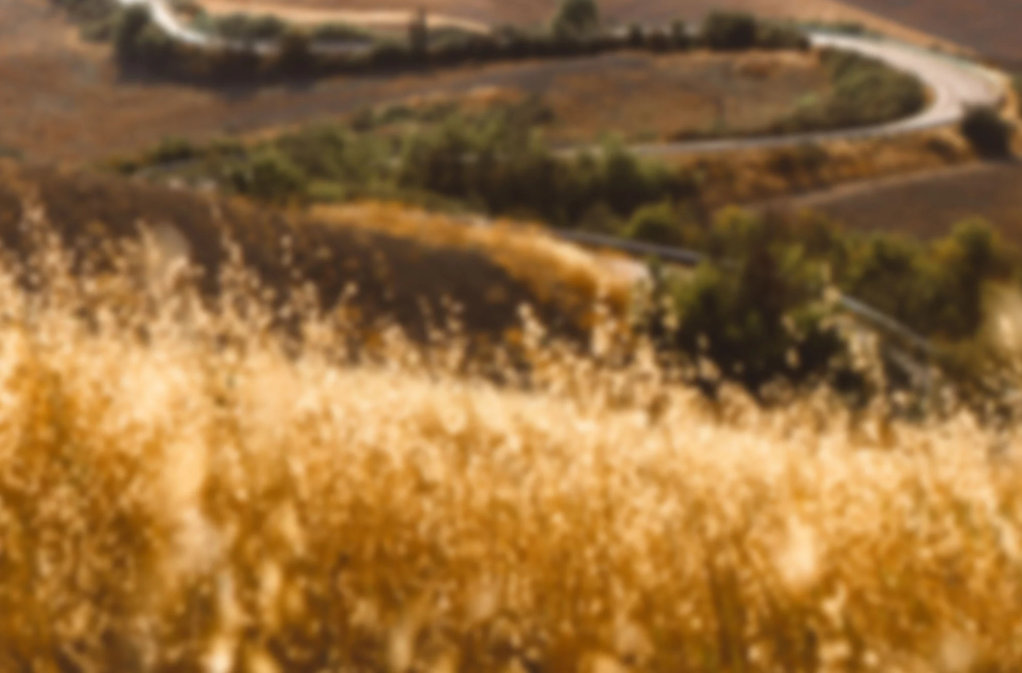Transformative Applied Behavior Analysis (ABA) for Personalized Growth