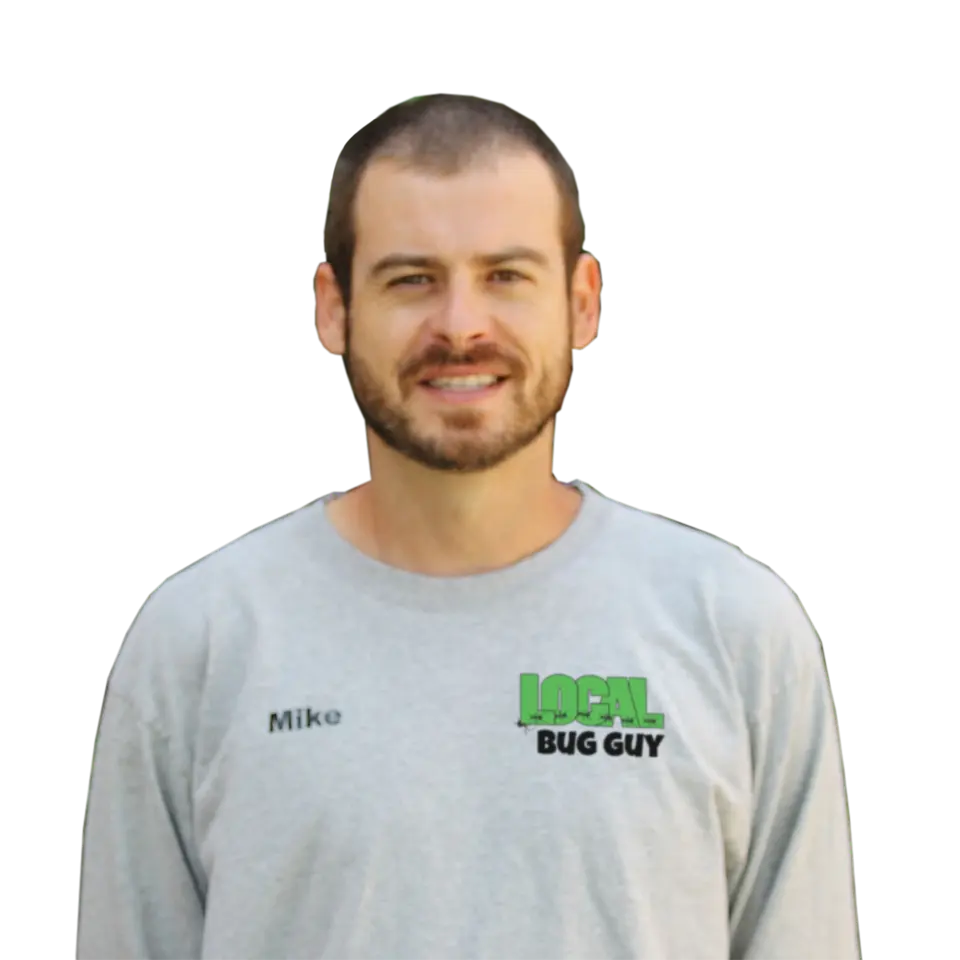 How to prevent an ant invasion.